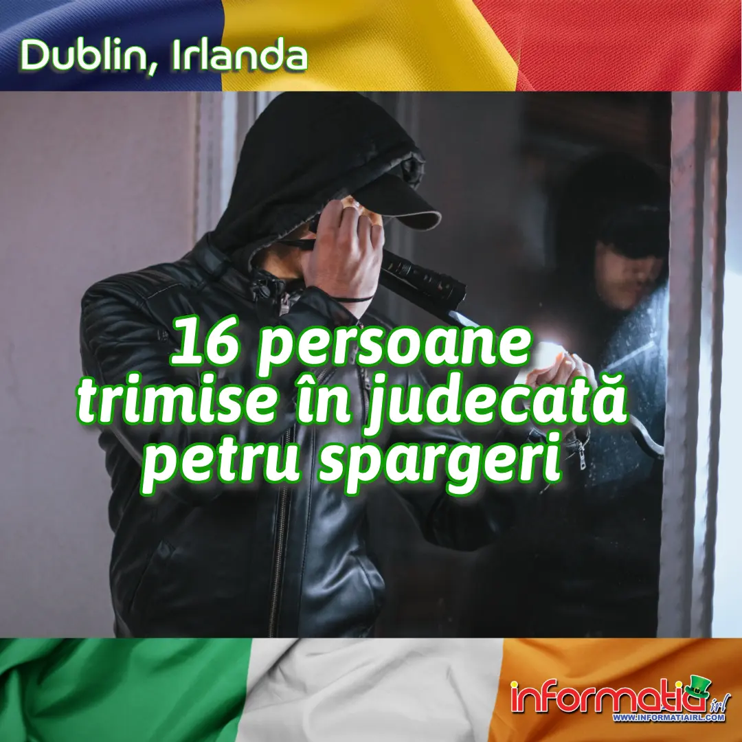 16 persoane trimise în judecată pentru spargeri și furturi ☘️ ...
